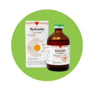 Kynoselen 100 ml. – Consorcio Veterinario
